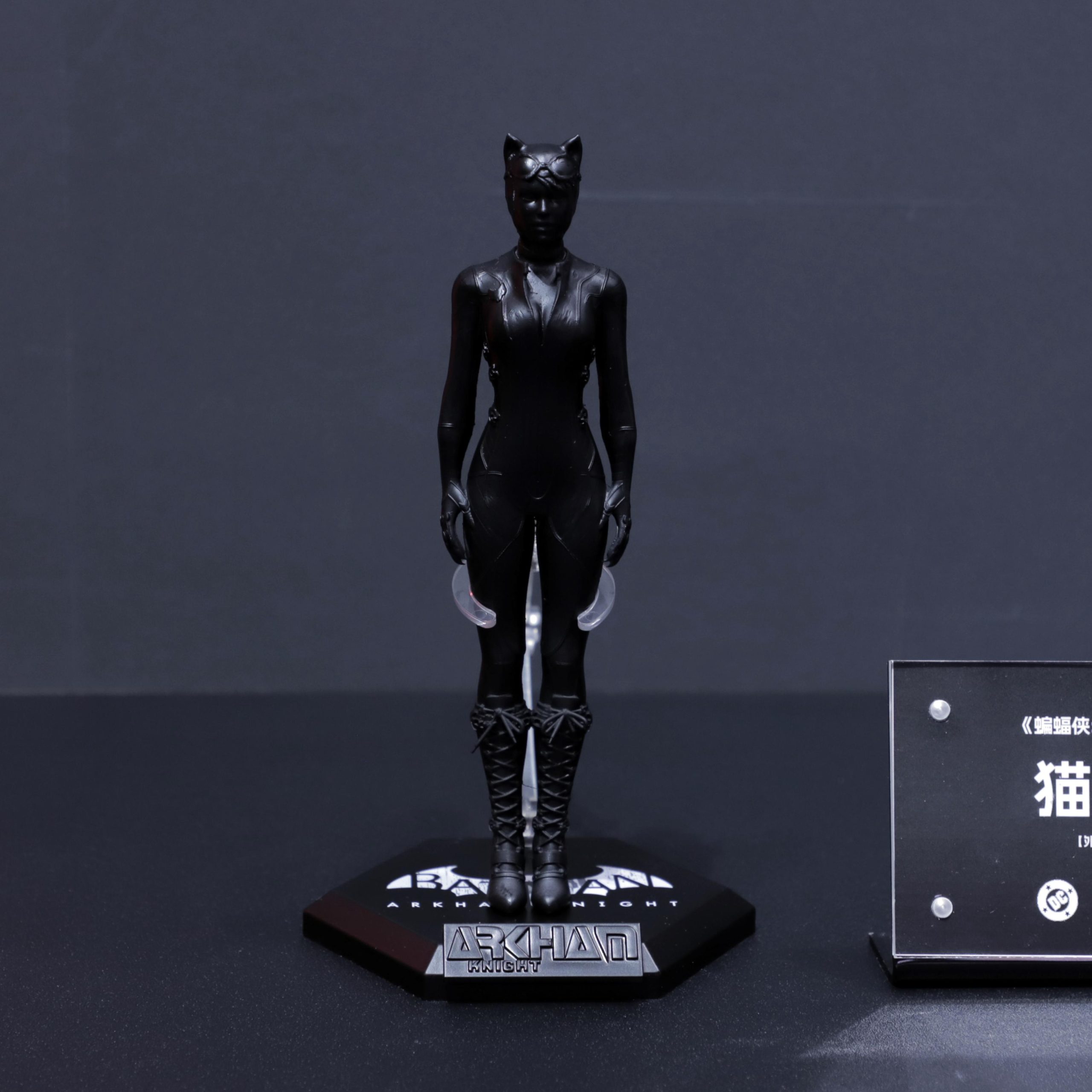 LPZZ Batman Arkham Knight Catwoman - Bombusbee