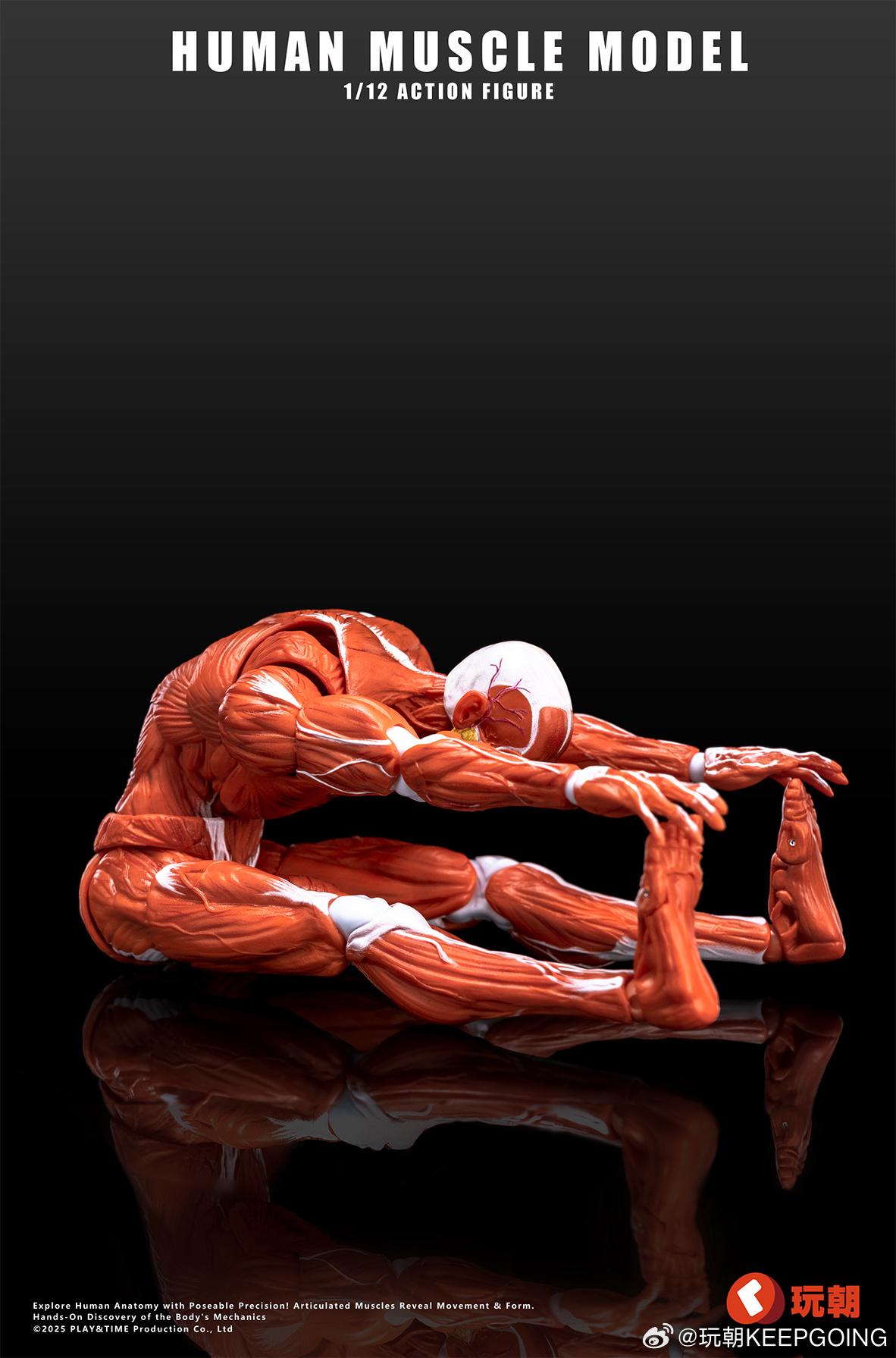 KEEPGOING Human Muscle Model 1/12 Red- Bombusbee