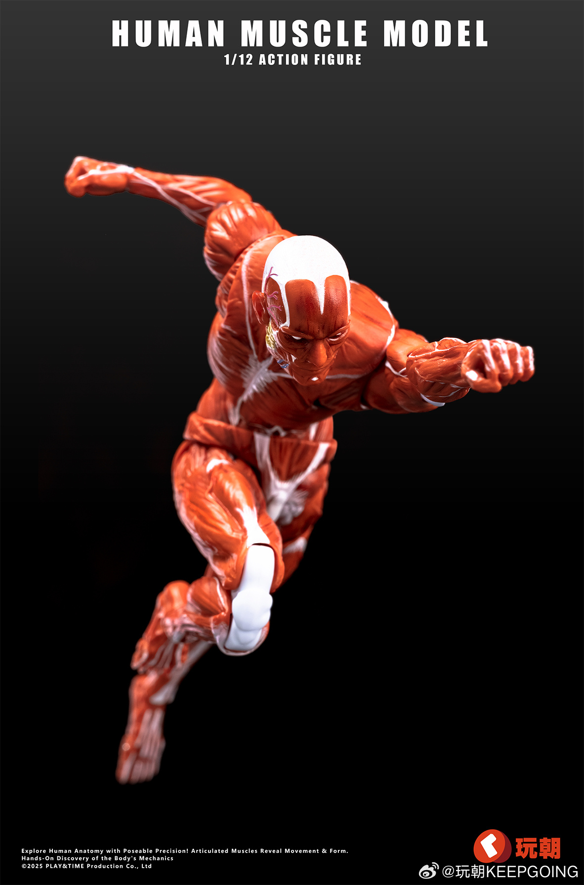 KEEPGOING Human Muscle Model 1/12 Red- Bombusbee